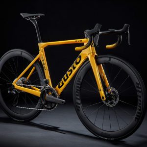 COBRA EVO DB | GUSTO bike